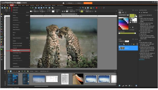 KB Corel PaintShop Pro 2020 How To Convert Negative Image To A Positive Image 